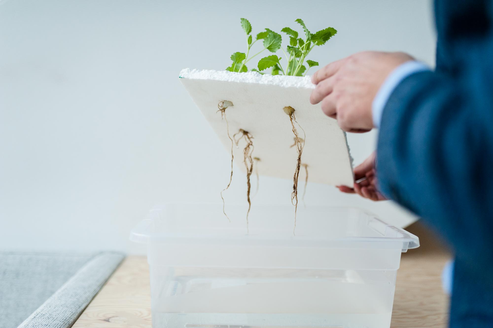 Food Computers: The Future of Farming? | WFP Innovation