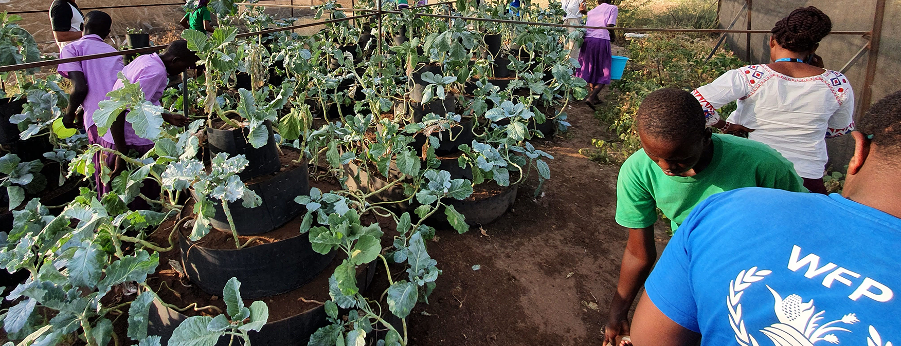 About Us | WFP Innovation