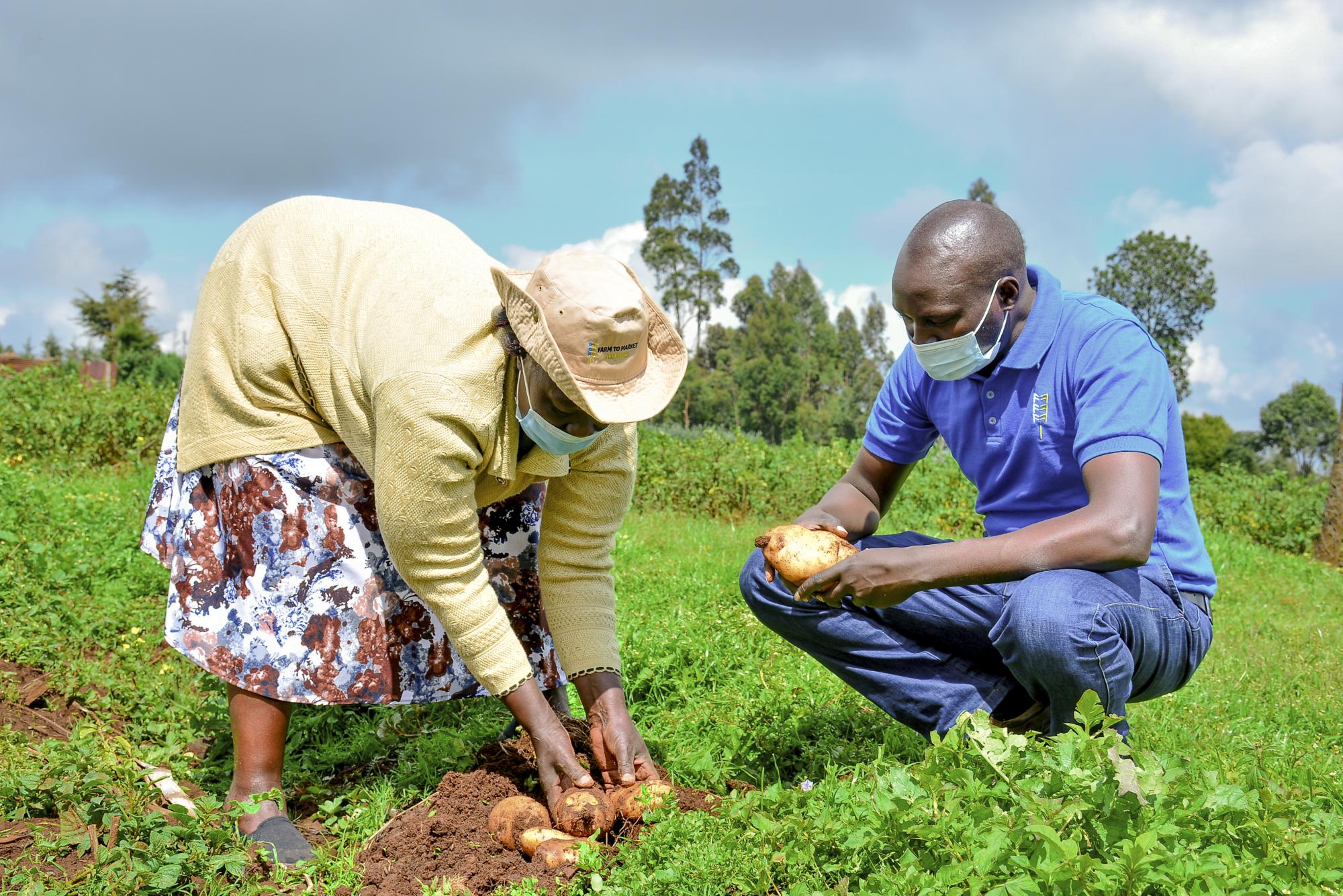 WFP Innovation Accelerator at COP 28 | WFP Innovation