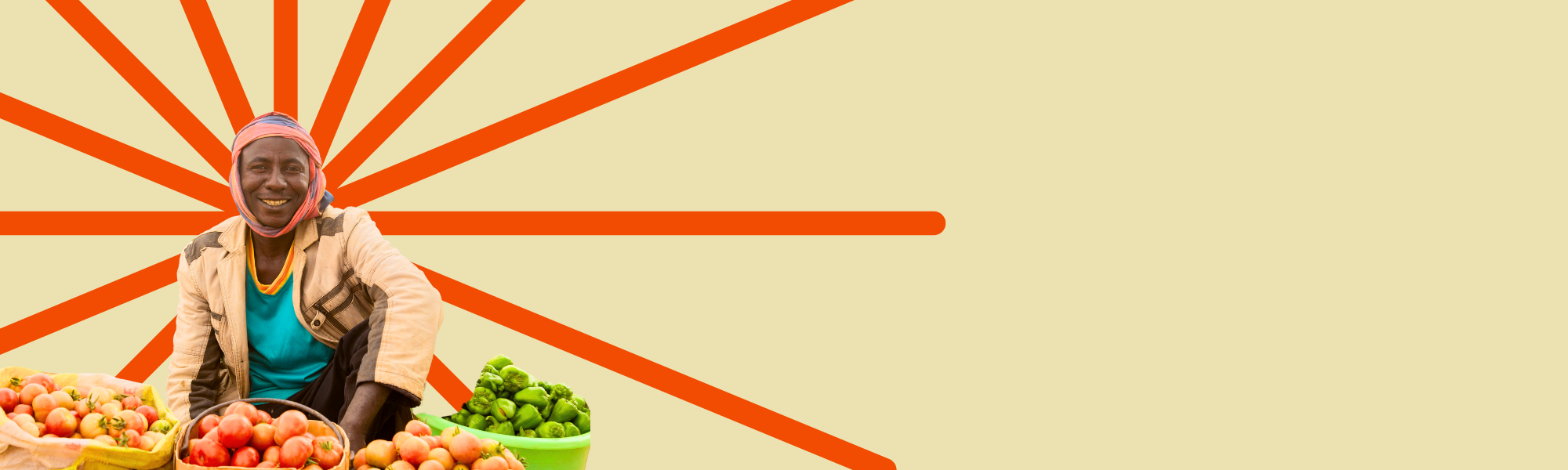 Energy for Food Security | WFP Innovation