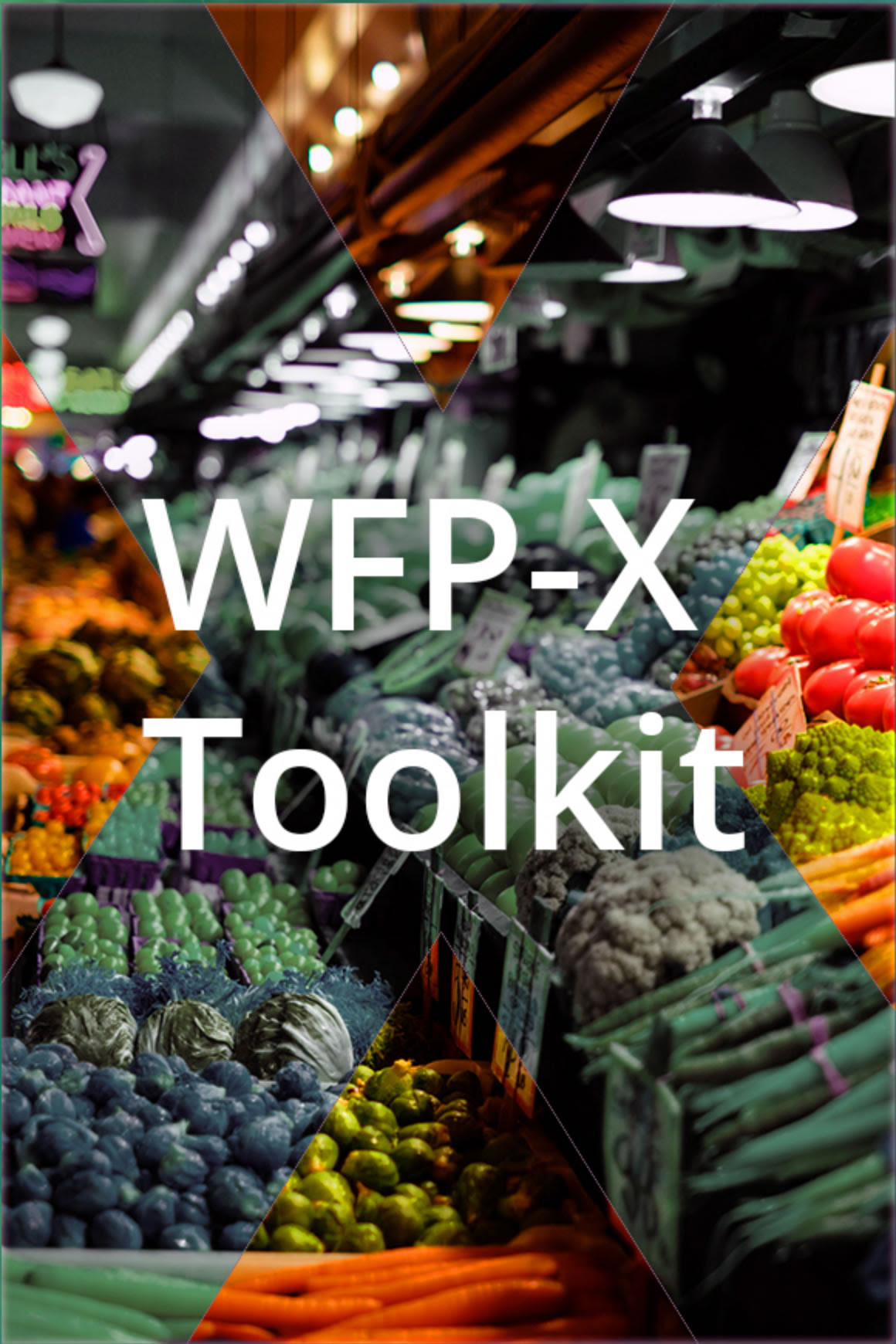 WFP-X | WFP Innovation