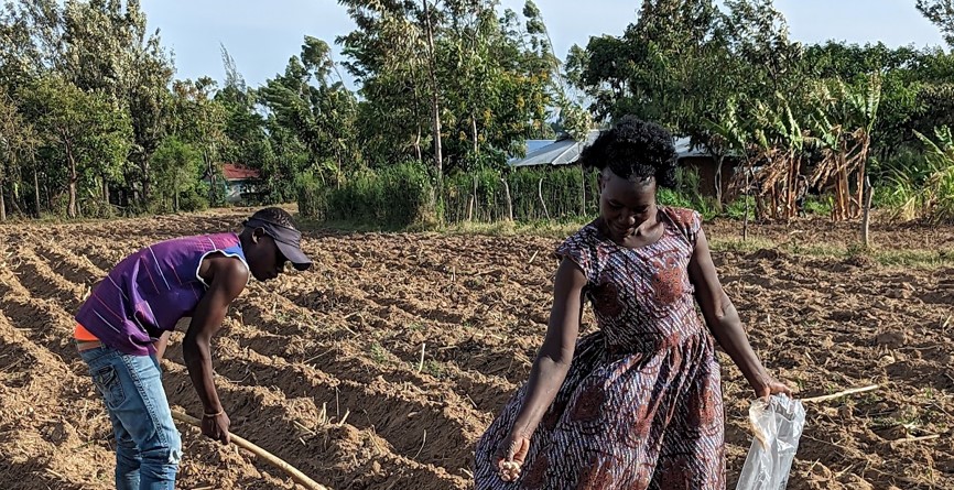 Toothpick Company Ltd. (The Toothpick Project) | WFP Innovation