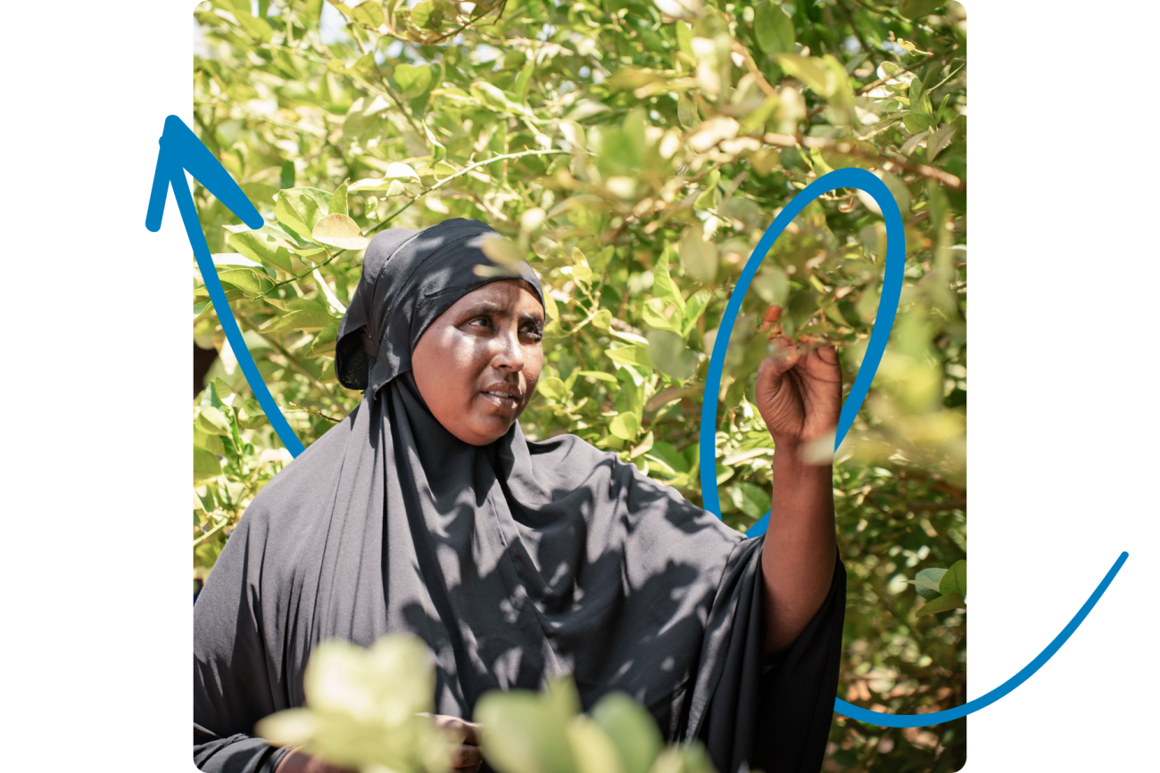 Year in Review 2024 | WFP Innovation